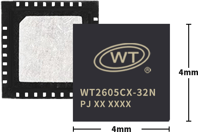 WayTronic Audio Chips & AI Voice Solutions | Smart Hardware & IoT ...